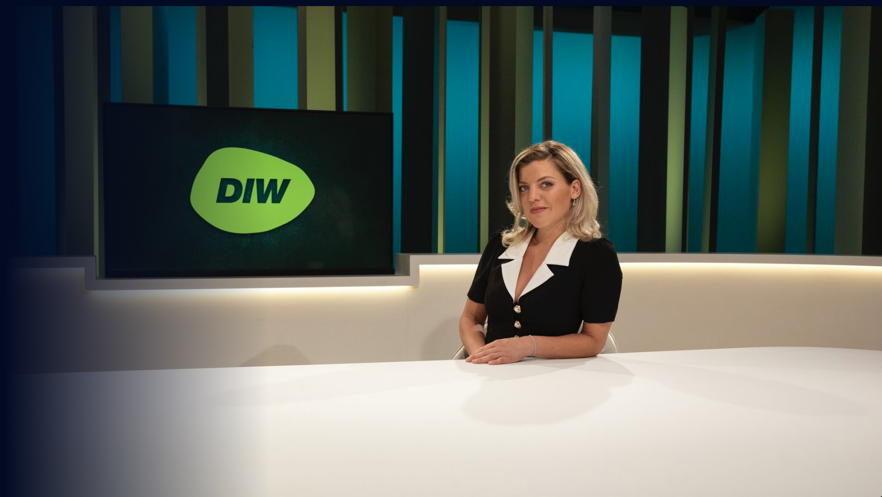 De ideale wereld (DIW) | Portfolio | Twin Design